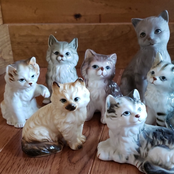 Accents | Cat Bundle | Poshmark